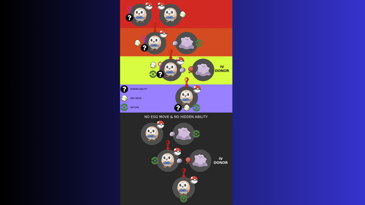 Pokémon Breeding Guide: Egg Groups, Mechanics, & Benefits - Ggwp Academy